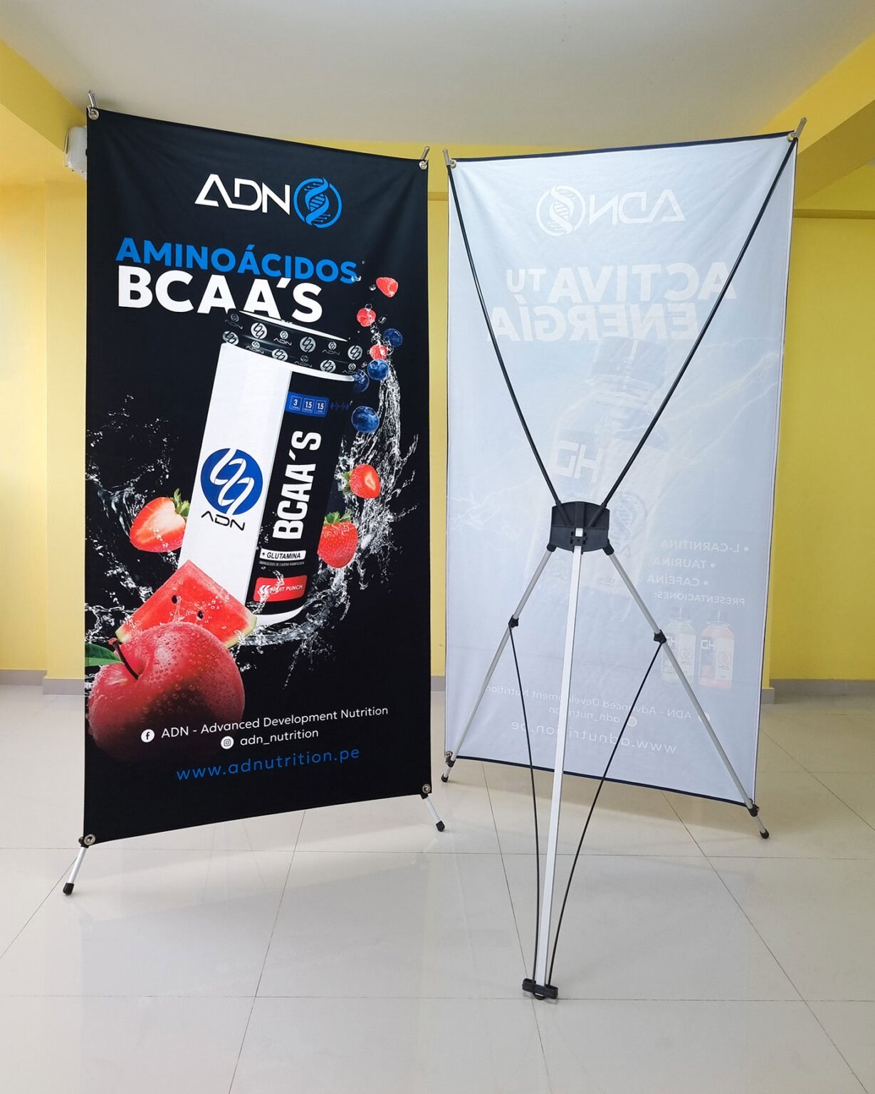 PARANTE ARAÑA – otocorp