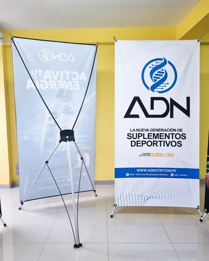 PARANTE ARAÑA – otocorp